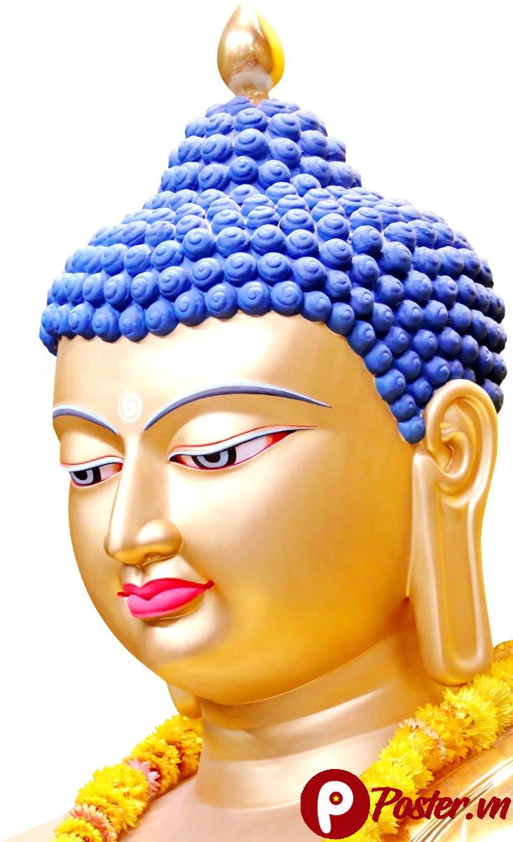Download Tranh Phật Chất Lượng Cao Vector | Poster.vn